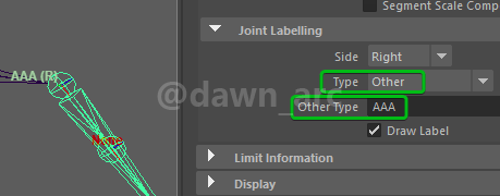 [Maya]Rigging 03 - Visualization